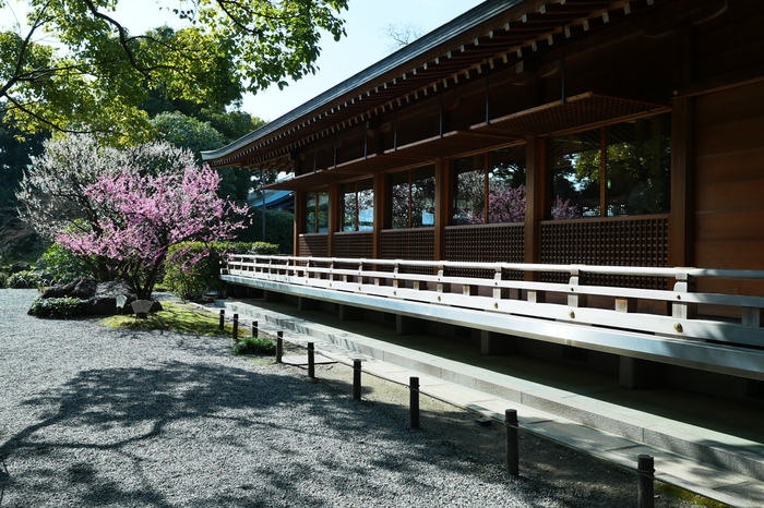Panasonic LUMIX DC-GX7 MarkIII を使ってみました / 京都 城南 Panasonic LUMIX DC-GX7 MarkIII を使ってみました / 京都 城南